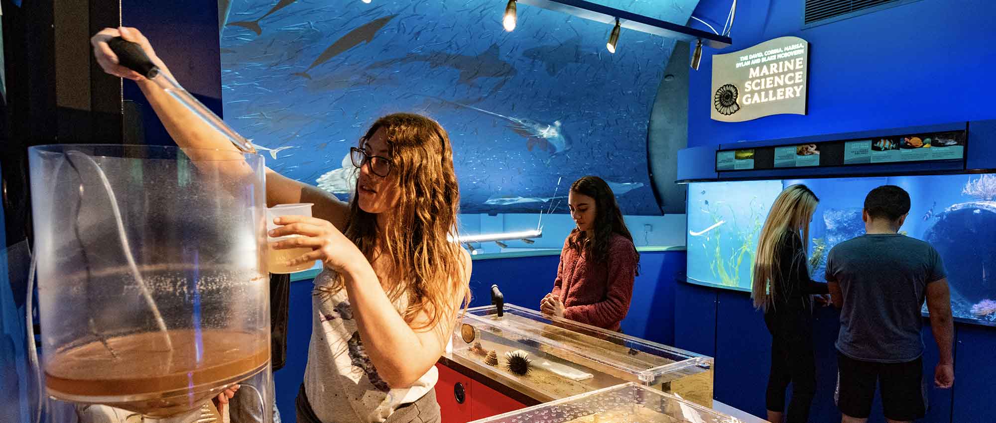 Discovery Center - Roundhouse Aquarium Teaching Center - Manhattan ...